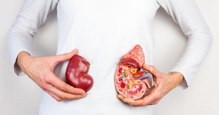 Can You Reverse Kidney Damage? - Durham Nephrology Associates, PA